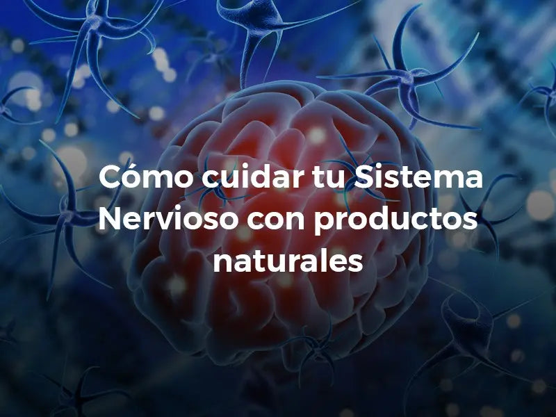 Cómo cuidar tu Sistema Nervioso con productos naturales