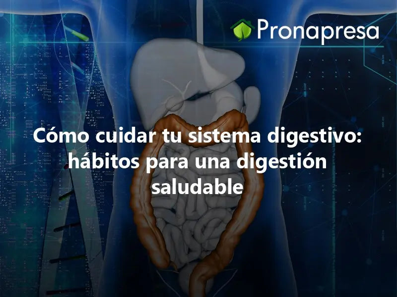 Cómo cuidar tu sistema digestivo: hábitos para una digestión saludable – Pronapresa
