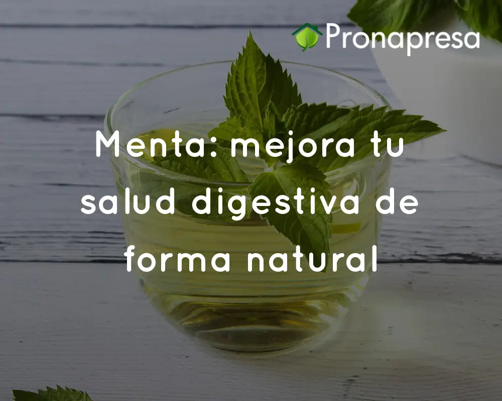 Menta: mejora tu salud digestiva de forma natural – Pronapresa