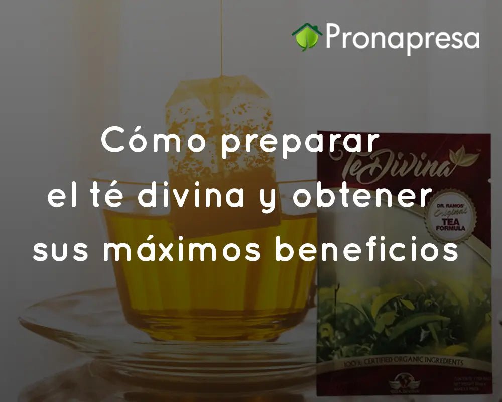 Cómo preparar el té divina y obtener sus máximos beneficios – Pronapresa