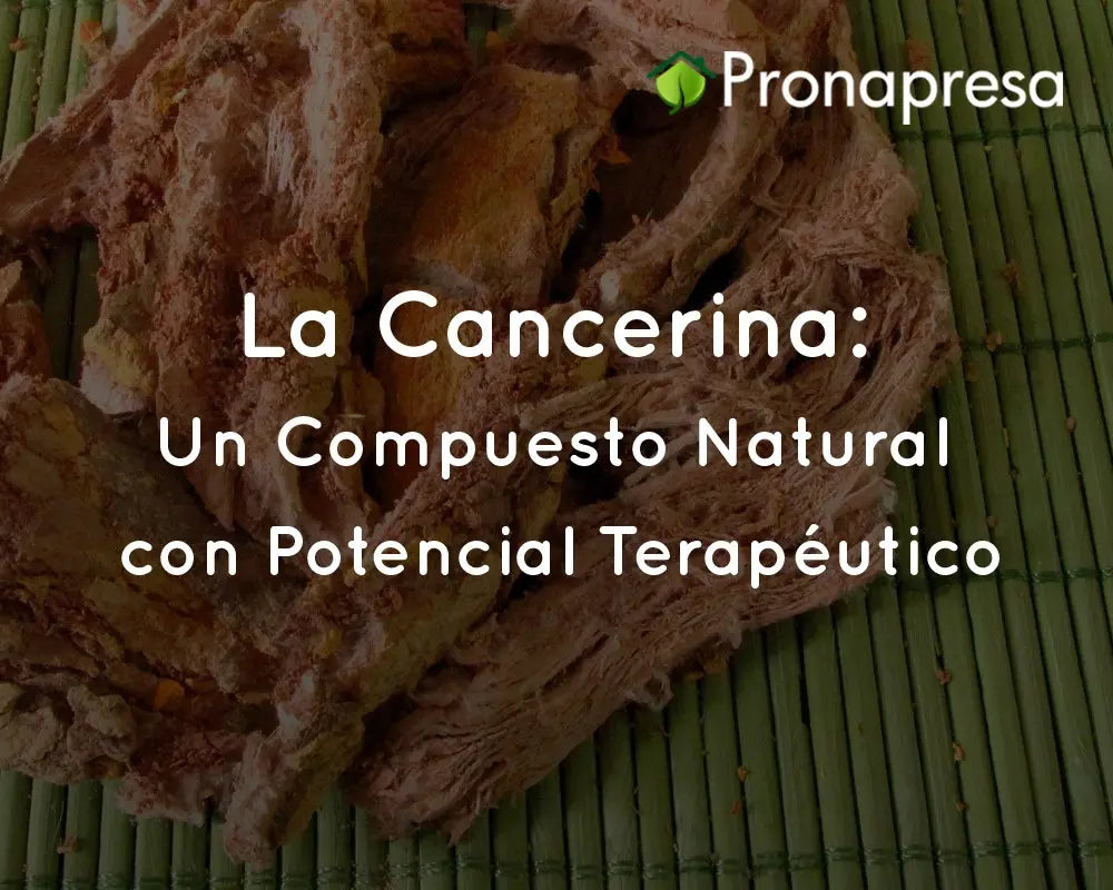 La Cancerina: Un Compuesto Natural con Potencial Terapéutico – Pronapresa
