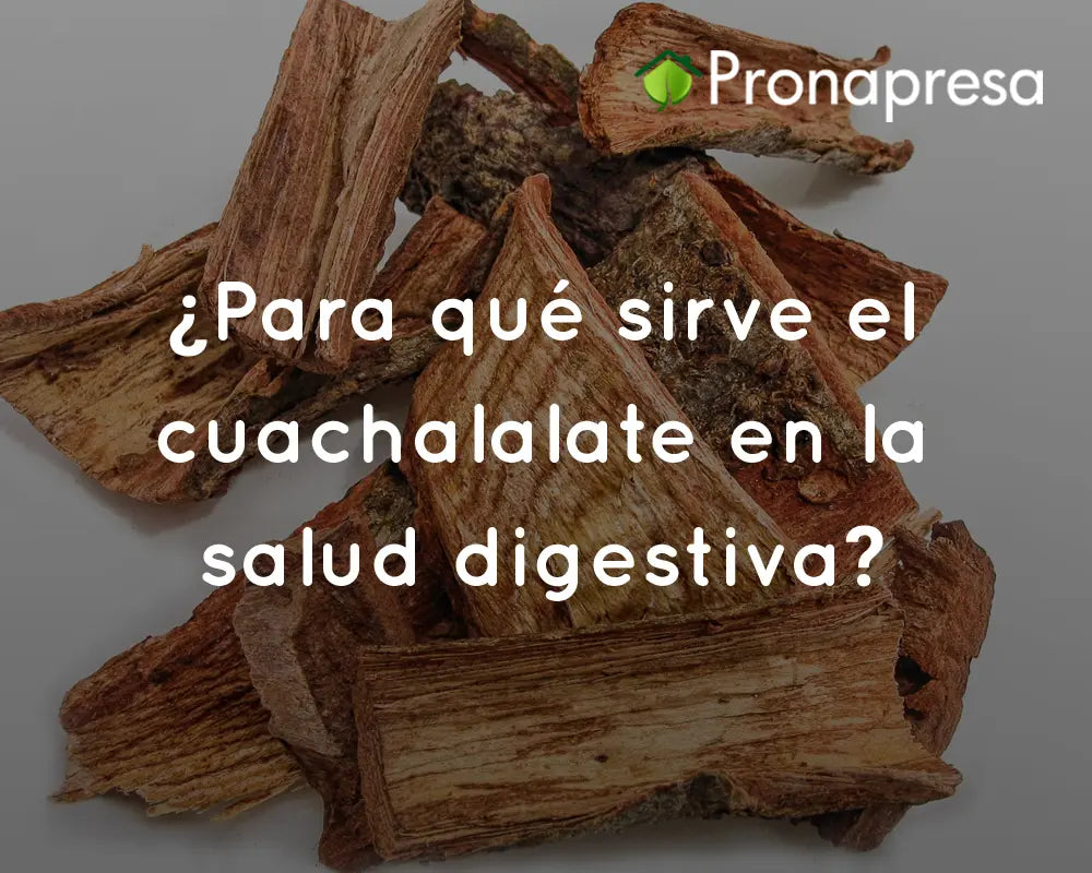 What is cuachalalate used for in digestive health? – Pronapresa