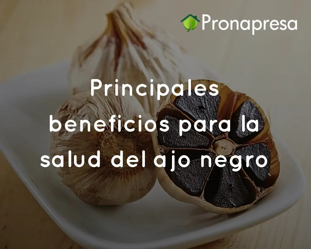 Principales beneficios para la salud del ajo negro – Pronapresa
