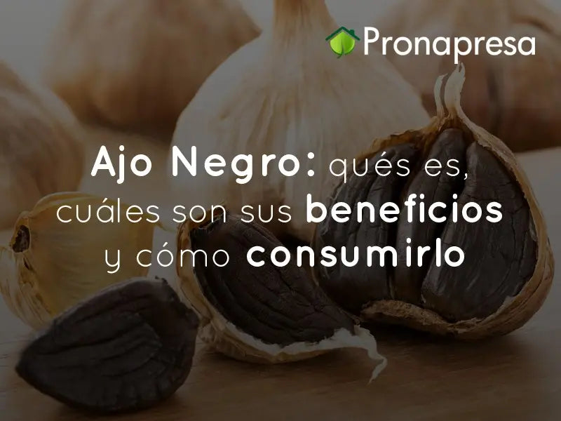Black Garlic: what it is, what are its benefits and how to consume it ...