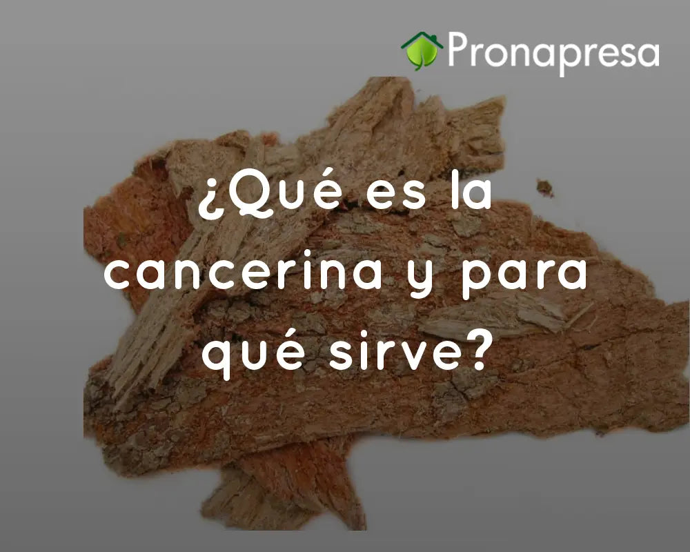 ¿Qué es la cancerina y para qué sirve? – Pronapresa